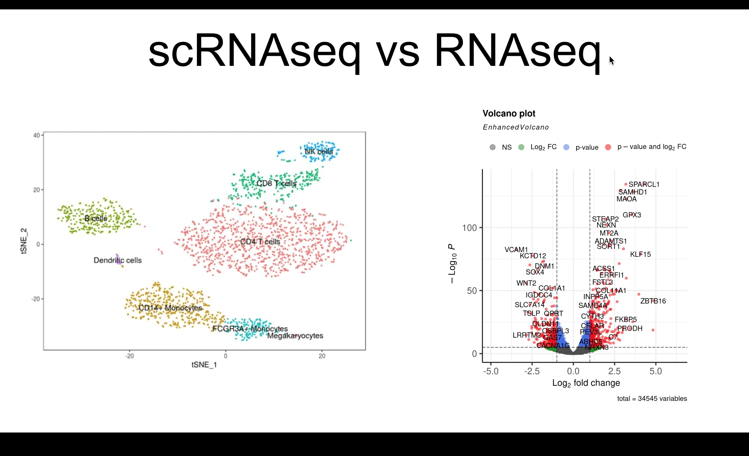 单细胞转录组和转录组分析的区别和选择scRNAseq_vs_RNAseq-peteryoung000-单细胞-哔哩哔哩视频