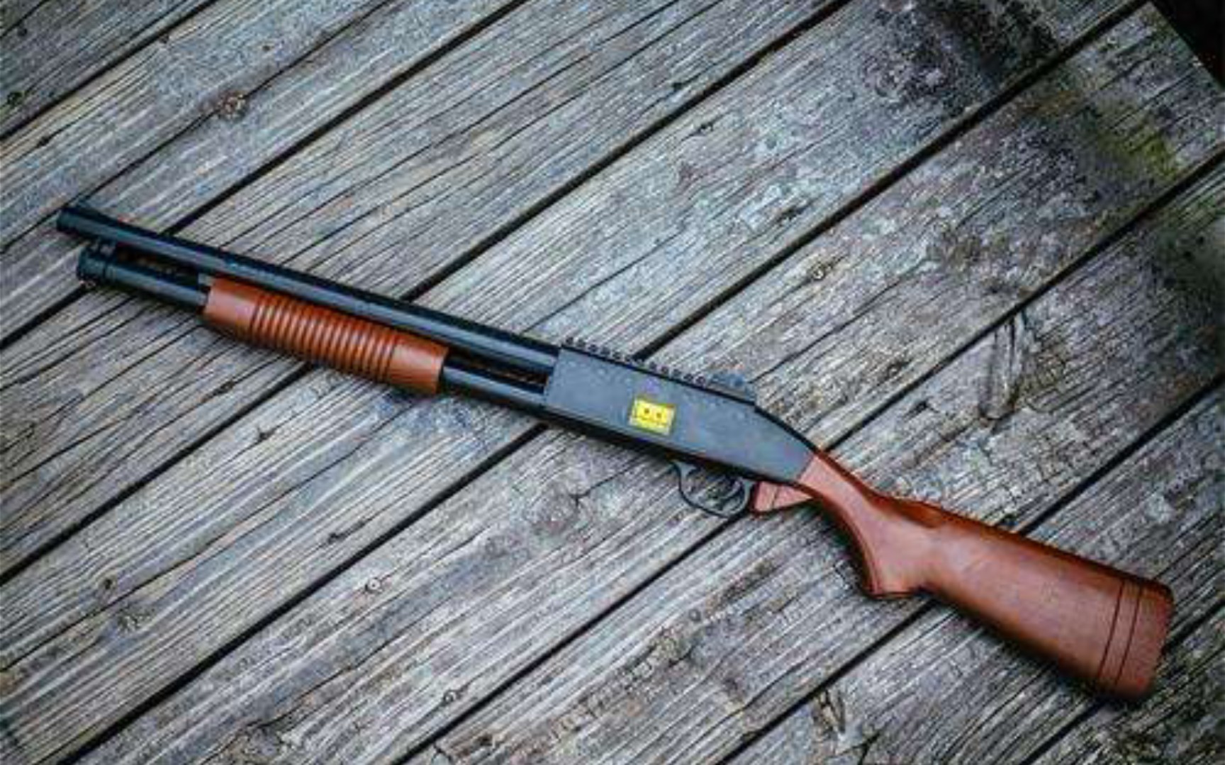 S1897之下--众生平等