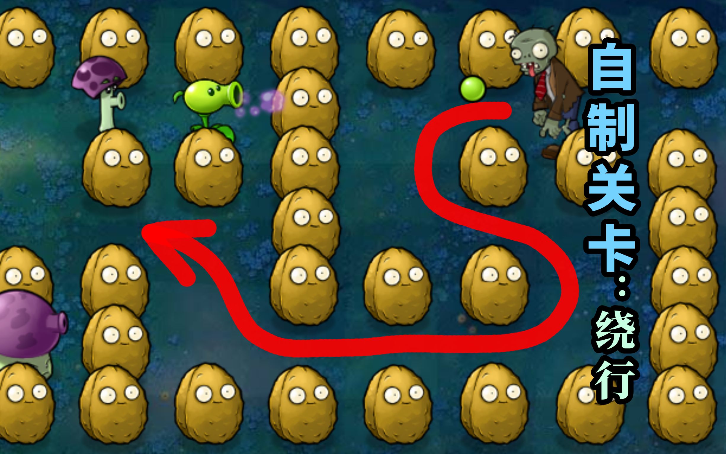 Pvz 