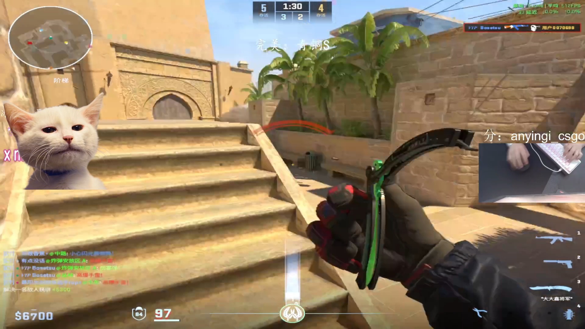 人生如逆旅 我亦是行人-Anyingi_Csgo-Anyingi_Csgo-哔哩哔哩视频