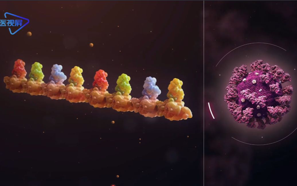 【医学3D】：mRNA疫苗的作用原理_哔哩哔哩_bilibili