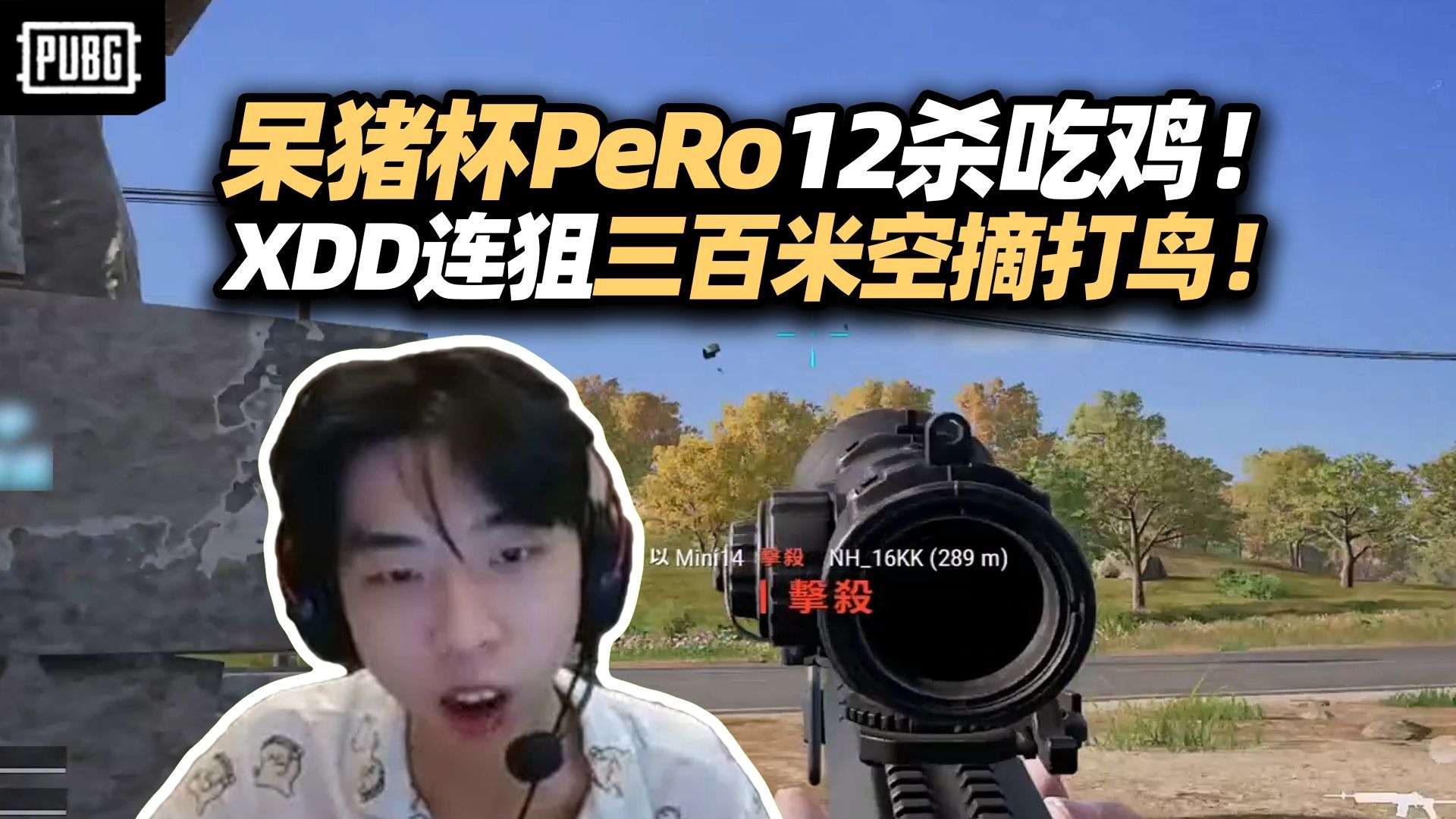 PCLP呆猪杯PeRo12杀吃鸡 XDD超准mini三百米空摘打鸟！房区转圈抽靶拿五杀！-小叮当频道-小叮当频道-哔哩哔哩视频