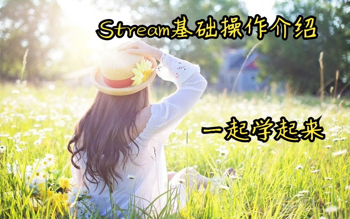 Java8-stream介绍-美丽的程序人生-美丽的程序人生-哔哩哔哩视频