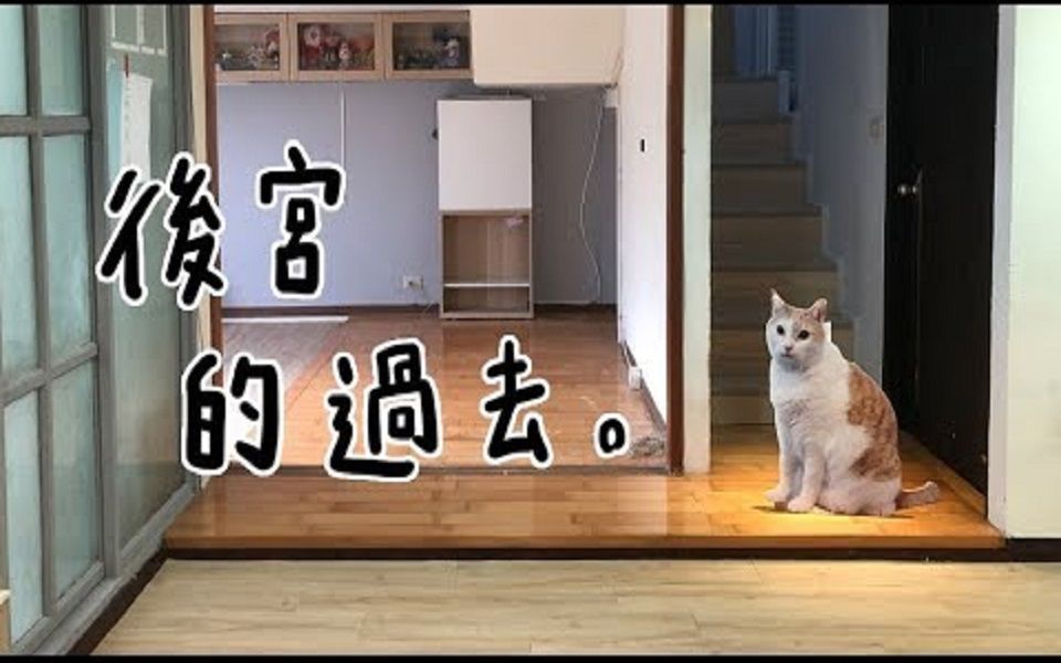 【黃阿瑪的後宮生活】後宮的過去 哔哩哔哩 Bilibili