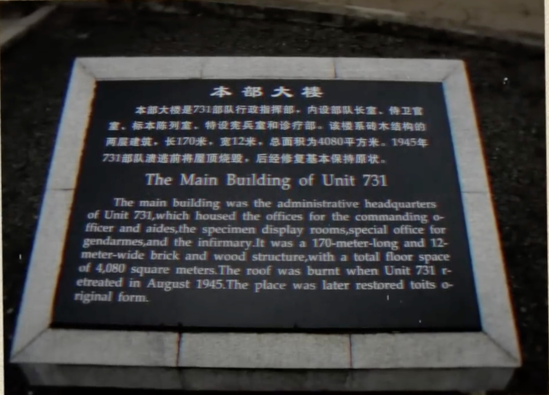 The Unspeakable Things That Happened In Unit 731（731秘闻）-西瓜炒鸡蛋儿-西瓜炒鸡蛋儿-哔哩哔哩视频