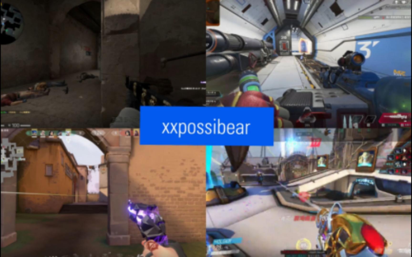 国外很火的FPS游戏剪辑方式（缝合版）_哔哩哔哩bilibili