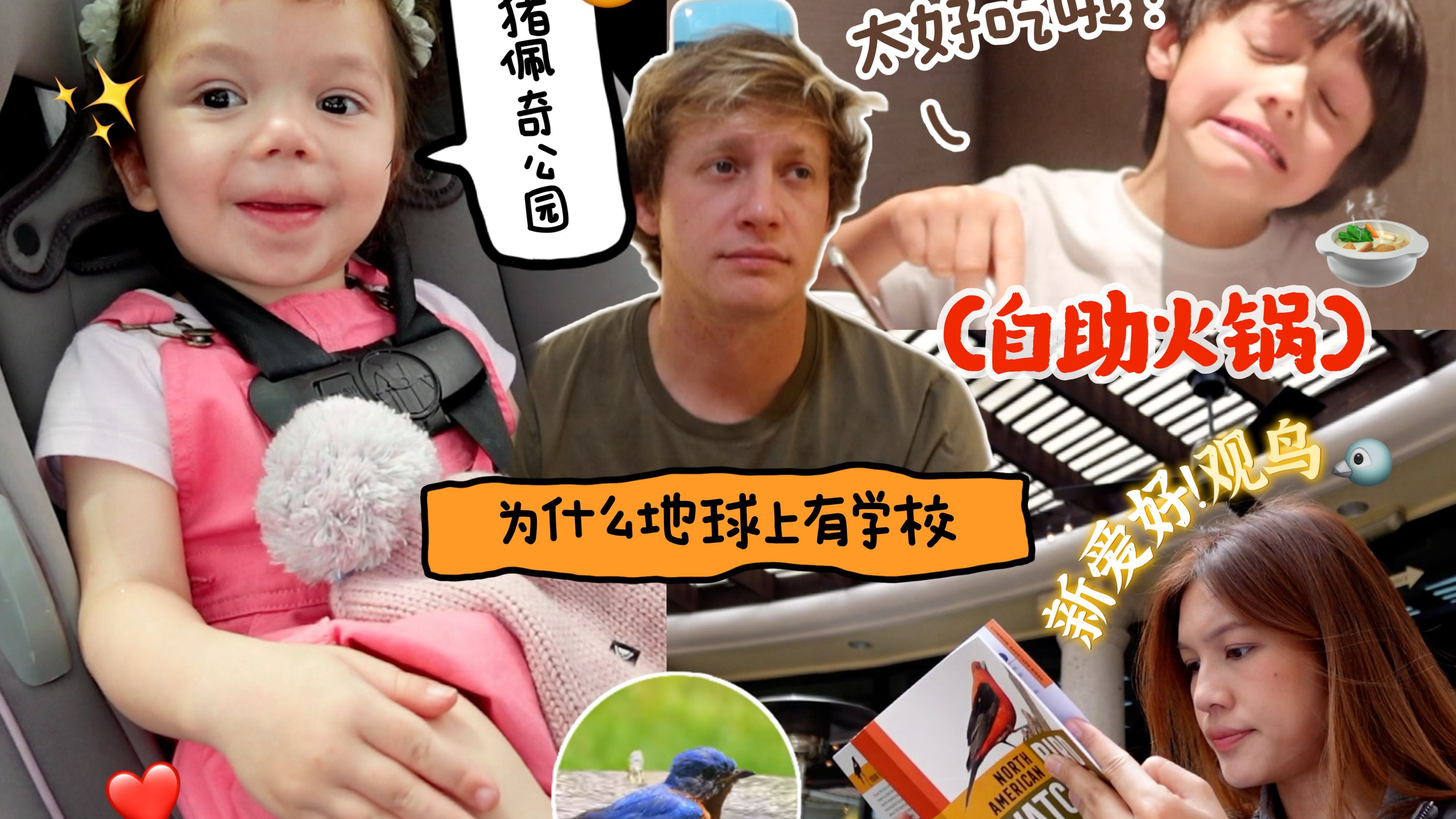 把小猪佩奇公园带回家里！世界居然又变大了一点！观鸟的乐趣-hellotina陈甜甜-hellotina陈甜甜-哔哩哔哩视频