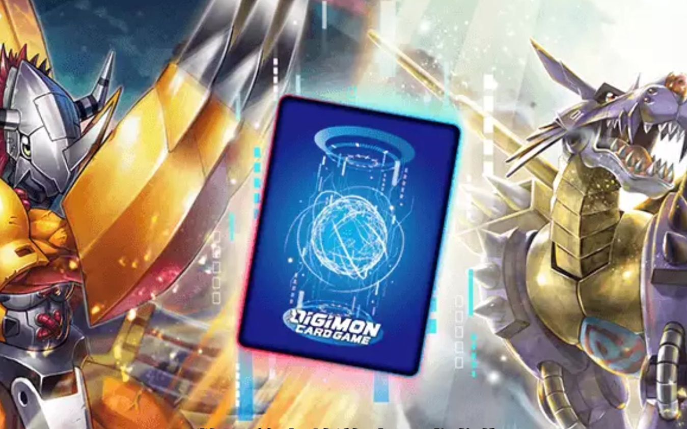 【小炒肉的DM频道】第1期：DTCG一周年回顾（上）_哔哩哔哩_bilibili