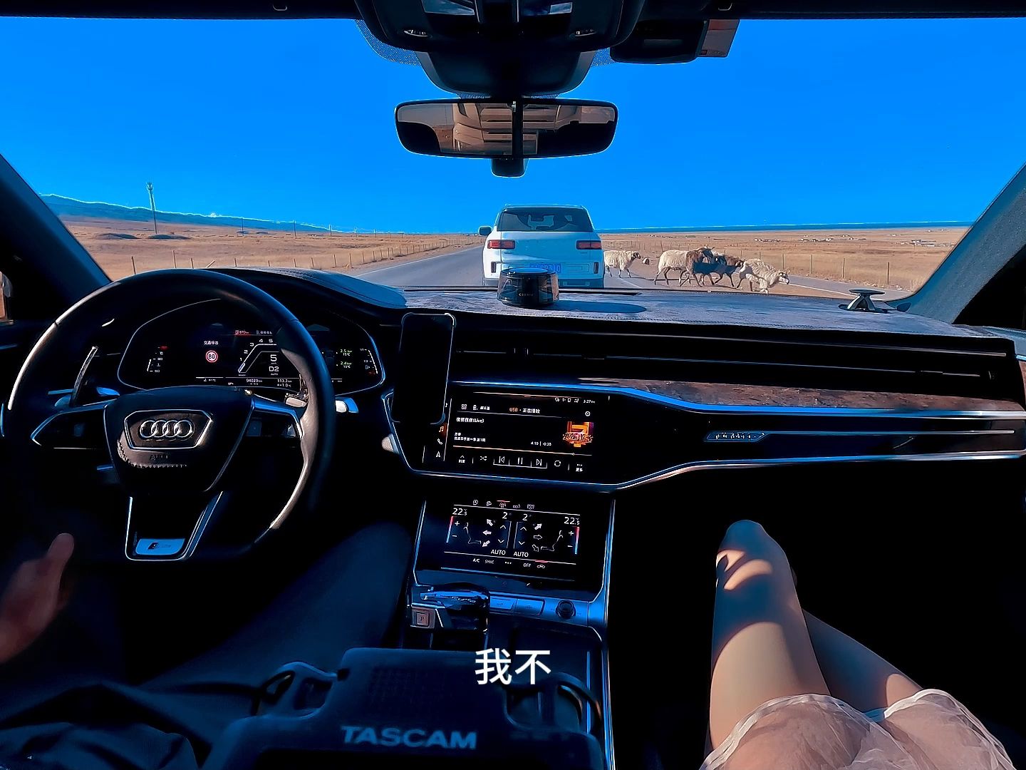 齐秦《夜夜夜夜(Live)》奥迪A6L大B&O音响 《A6L大bo全网首发》（录音笔正中录制）（动态录制）-奥迪A6L大BO音乐台-奥迪A6L大BO音乐台-哔哩哔哩视频