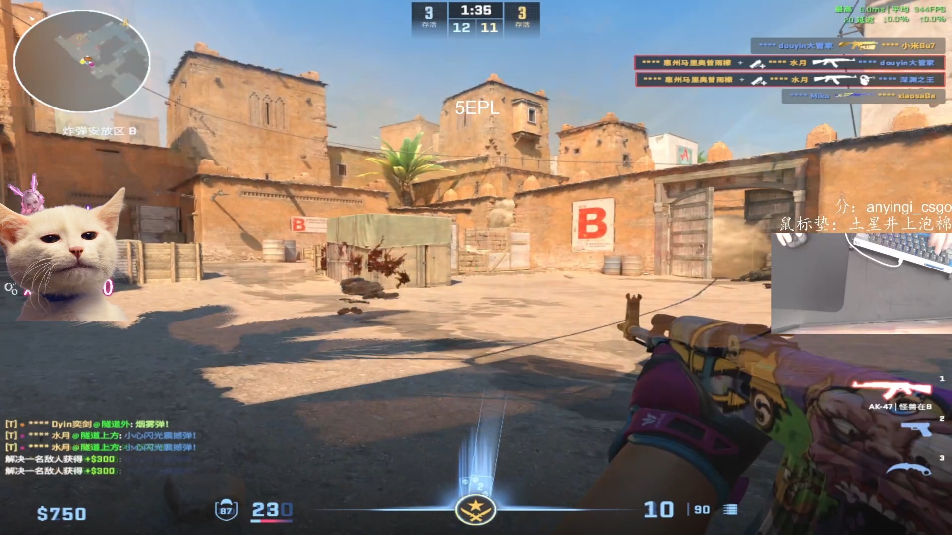 5ePL 1.0-Anyingi_Csgo-Anyingi_Csgo-哔哩哔哩视频