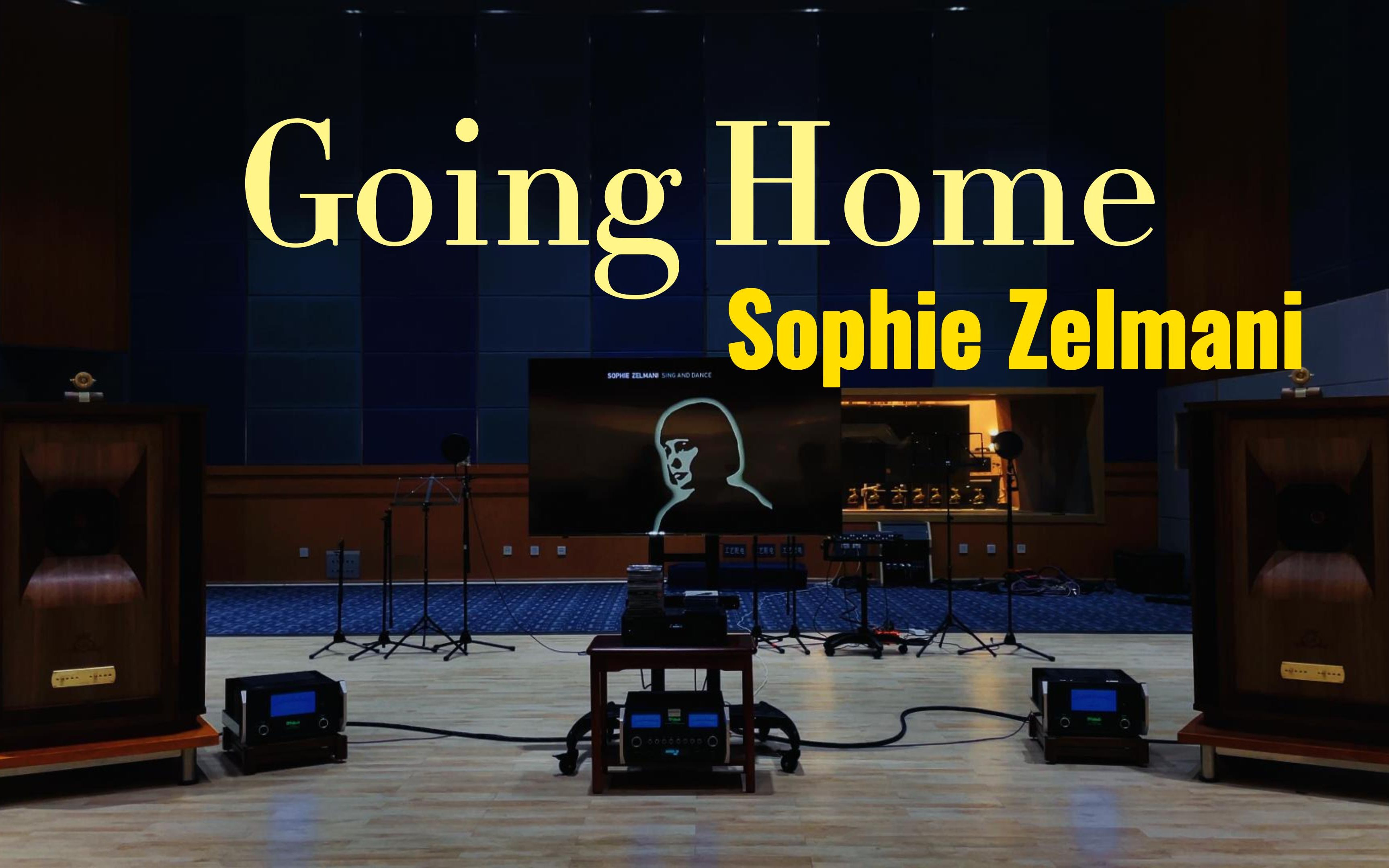 用百万级豪华装备试听《Going Home》Sophie Zelmani【Hi-Res】苏菲·珊曼妮，来自瑞典的民谣女神-给我糠慷-list-哔哩哔哩视频