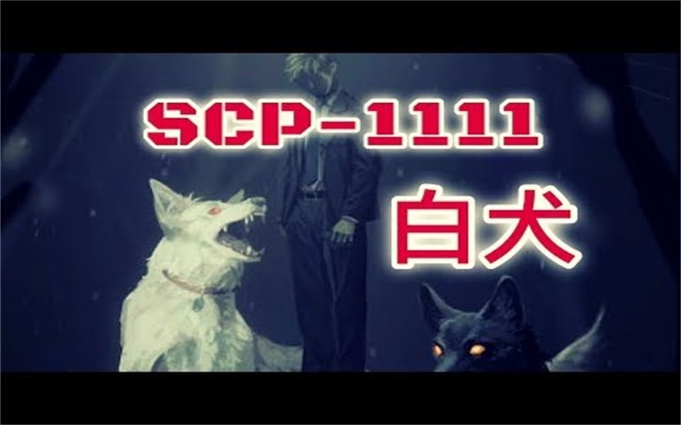 【89】【Ting】【Euclid】SCP基金會 SCP-1111 The White Dog 白犬(中文)_哔哩哔哩 (゜-゜)つロ 干杯~-bilibili