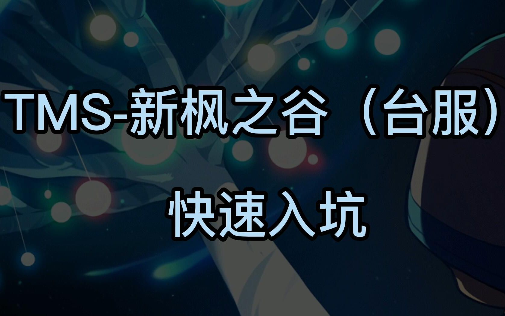 TMS新枫之谷/台服冒险岛 快速入坑攻略 入谷下载注册安装加速新手萌新引导指南_哔哩哔哩bilibili_冒险岛_教学