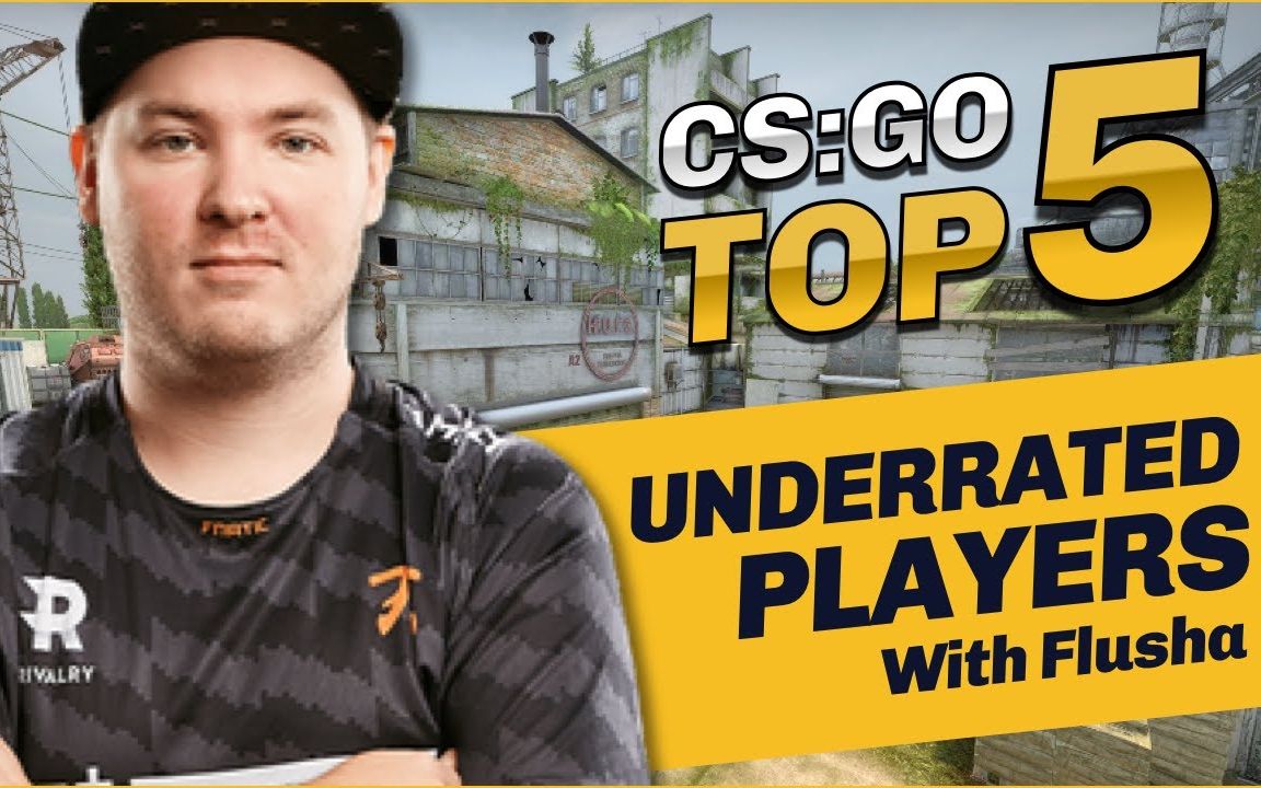 【CSGO 中字】老挂壁 Flusha 心目中五大最被低估的CSGO职业哥_哔哩哔哩_bilibili