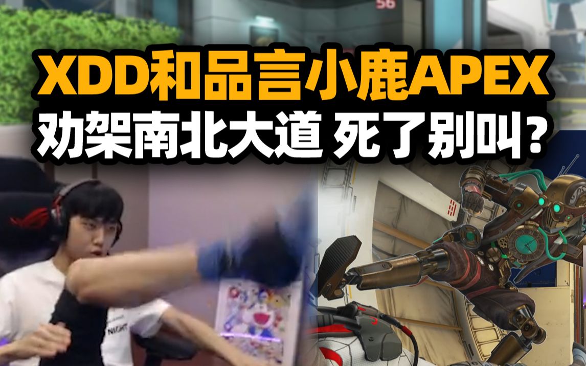 XDD和小鹿品言APEX 无限劝架这就是南北大道嘛？爆笑处决乐极生悲！-小叮当频道-小叮当频道-哔哩哔哩视频