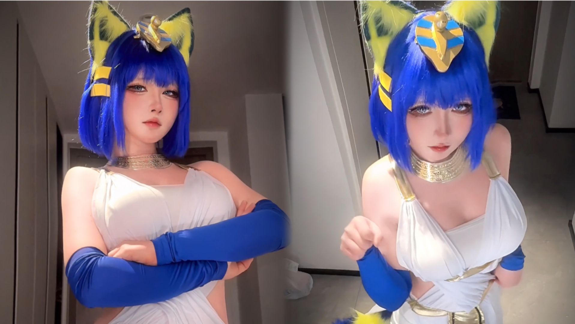 你以为小猫很凶 其实是因为角度不同-樱梨梨Eriri-樱梨梨Eriri-哔哩哔哩视频