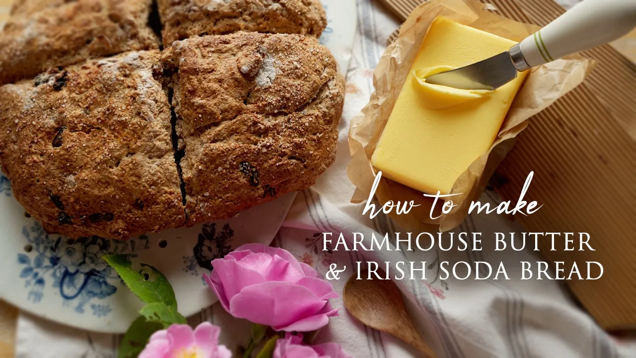 【MS】STUDY WITH ME｜在纽约市立大学学习4H｜图书馆学习｜建筑群｜番茄钟50+10｜背景噪音｜No Music｜Mindful ...