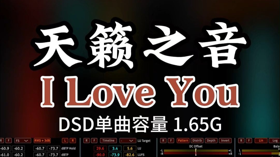 印尼国宝级女歌手，全程高能，纯净动人，感染力十足！DSD完整版1.65G，百万调音师专业录音棚制作，顶级hifi音乐-车音乐_百万调音师-车音乐_百万调音师-哔哩哔哩视频