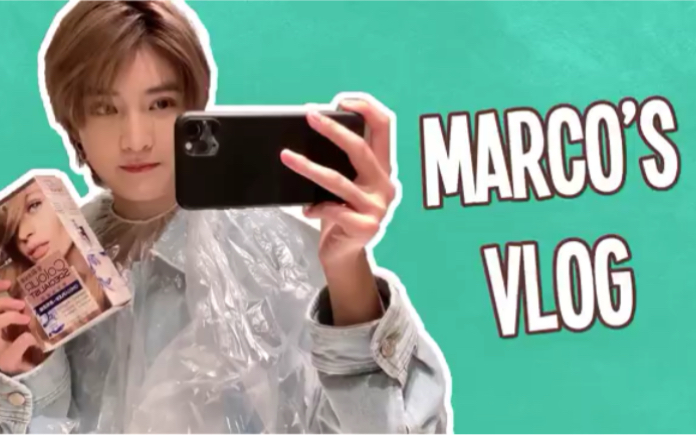 【林凡Marco】Marco’Vlog ｜百元给自己漂染个头？没想到还挺惊喜｜施华寇蜜糖醇棕｜200905wb_哔哩哔哩_bilibili