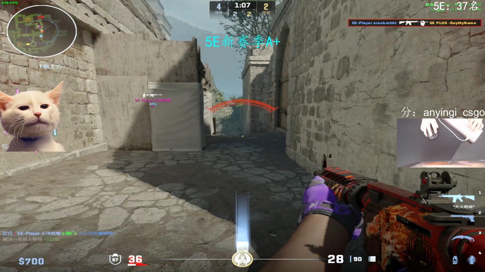 5E赛季初质量局 优美CS-Anyingi_Csgo-Anyingi_Csgo-哔哩哔哩视频