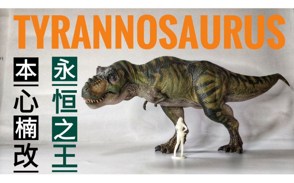 最好的霸王龙？——本心楠改“狂热映画”系列霸王龙/暴龙 永恒之王 把玩分享_哔哩哔哩_bilibili