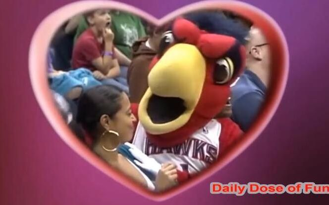 最佳NBA Kiss cam集锦