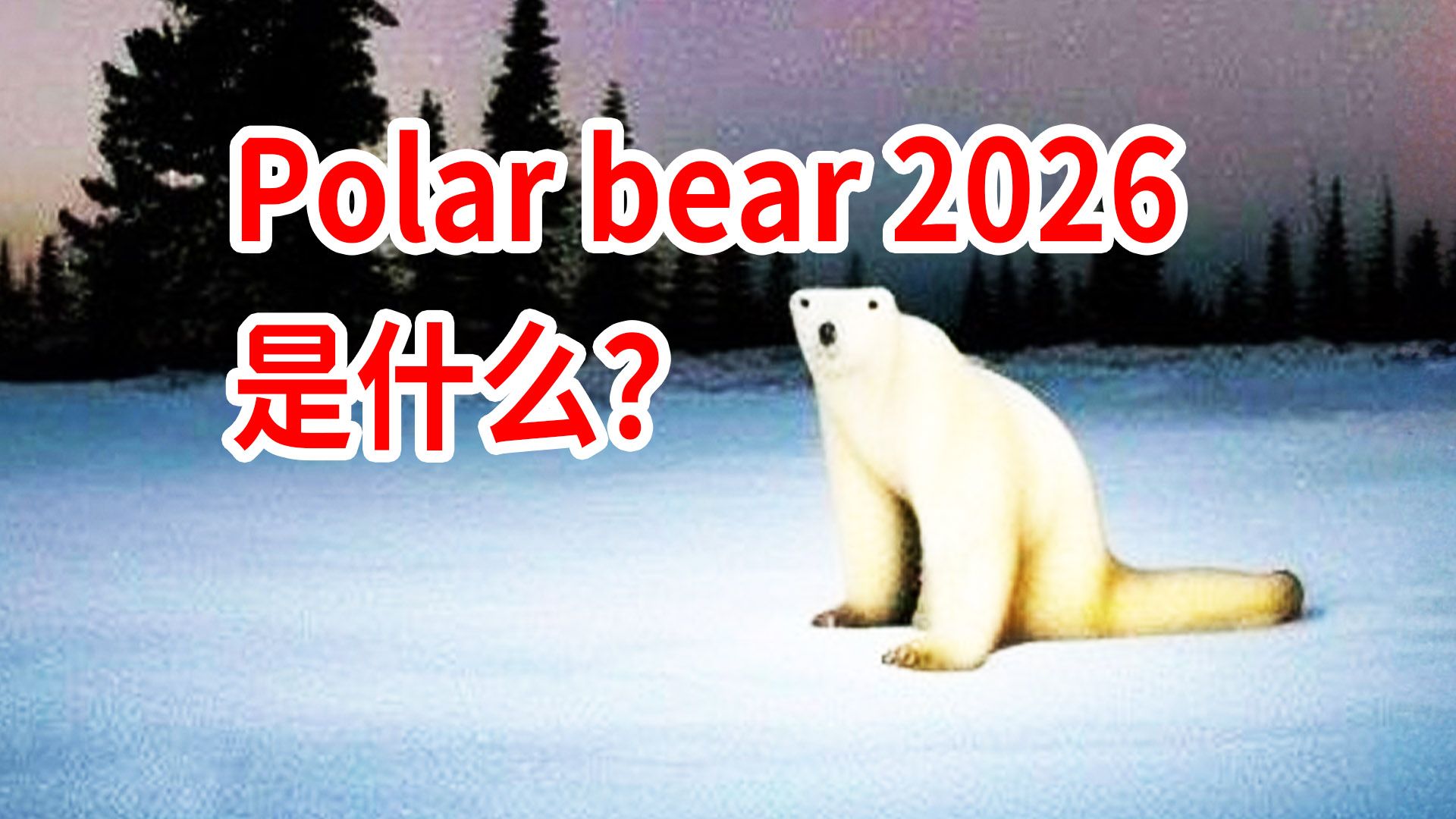 “Polar bear 2026”是什么？诡异北极熊！这也能开车？！-阿力阿力栗-阿力阿力栗-哔哩哔哩视频