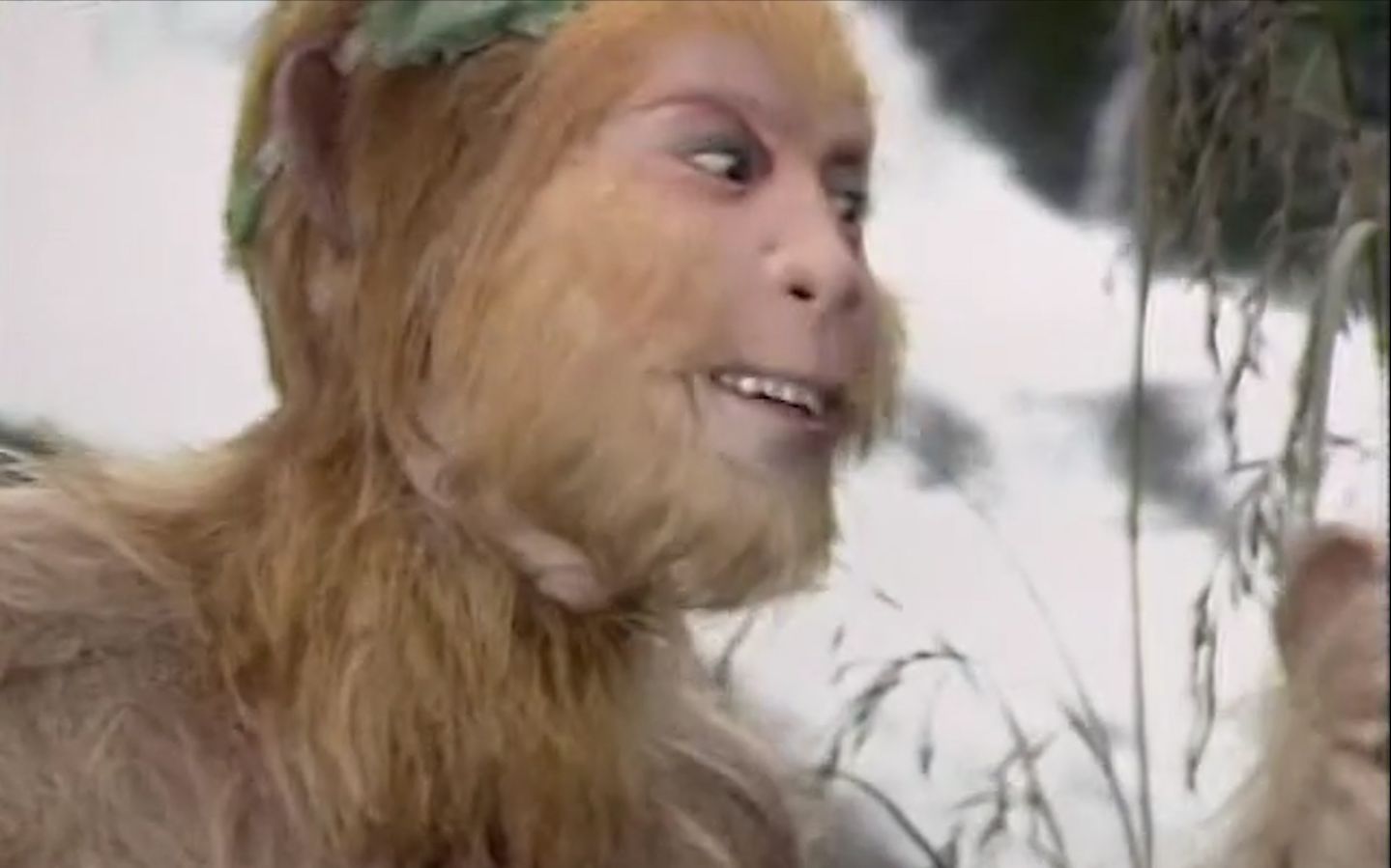 Dance Monkey King_哔哩哔哩_bilibili