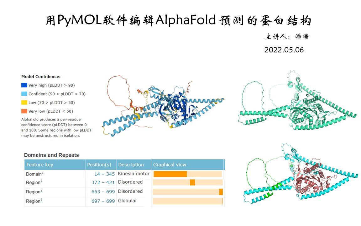 手把手带你获取AlphaFold 预测的蛋白文件 用PyMOL软件给蛋白结构域加 - 哔哩哔哩