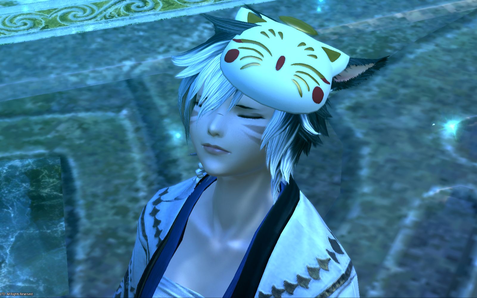 【FF14】6.11绝龙诗忍者P7初通第一视角自查+留档_最终幻想14