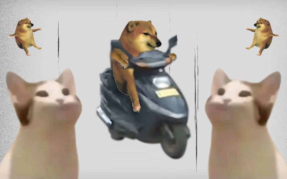 cheems旋转 1分51秒醇香版-cheems爱你-cheems爱你-哔哩哔哩视频