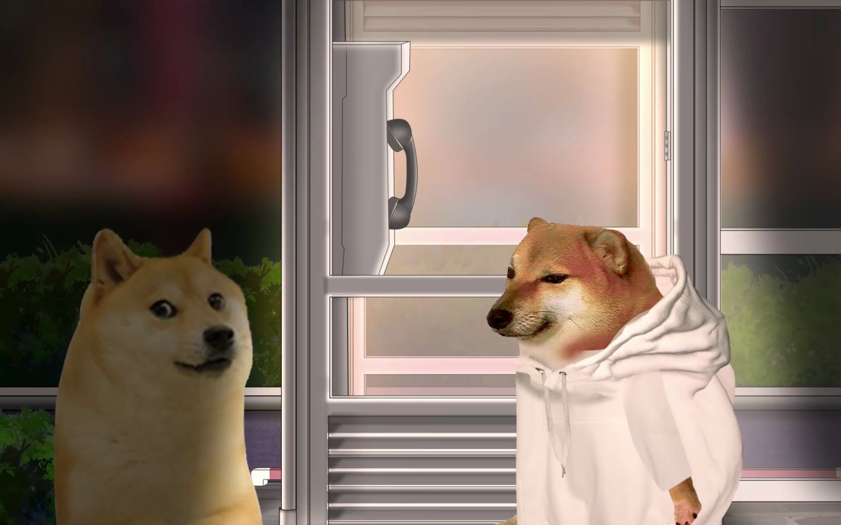 你开了多少-Cheems降临-Cheems降临-哔哩哔哩视频