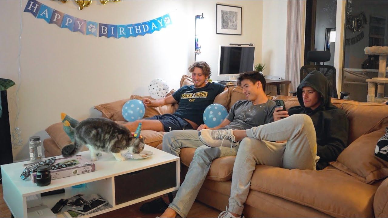 伯克利小哥为猫咪开的一岁生日开派对 | Marcos Rico Peng - 视频下载 Video Downloader