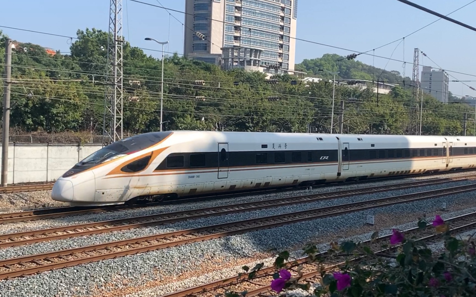 cr400bf-5033表情包-千图网