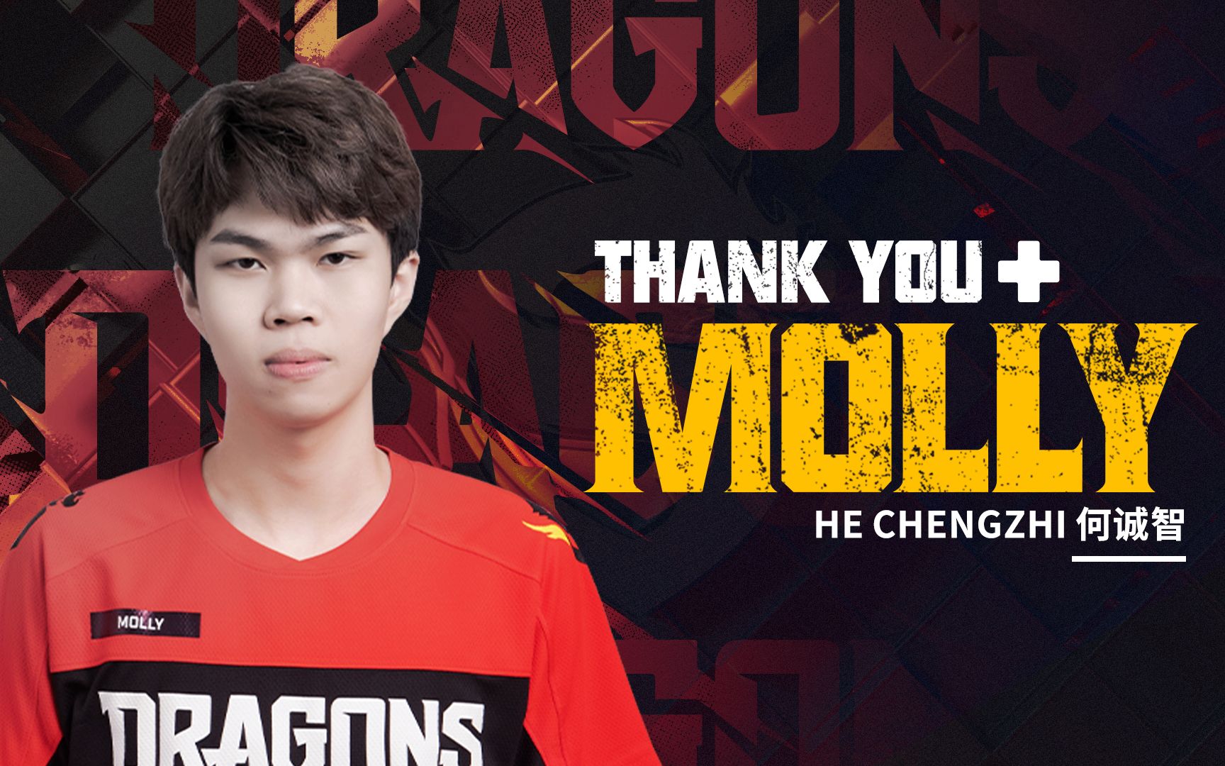 Thank you, Molly_哔哩哔哩_bilibili