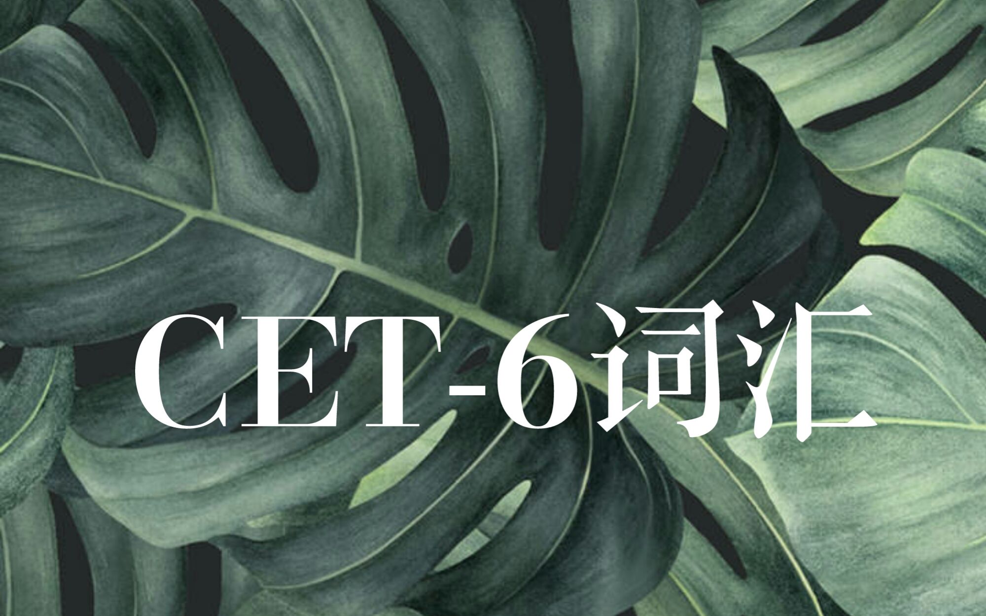 【CET-6】大学英语六级词汇讲解_哔哩哔哩_bilibili