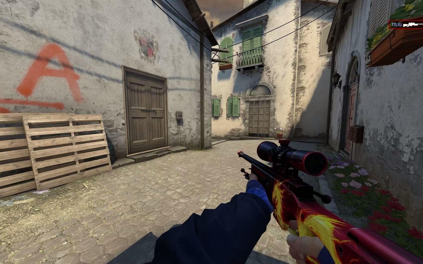 pug_哔哩哔哩_bilibili