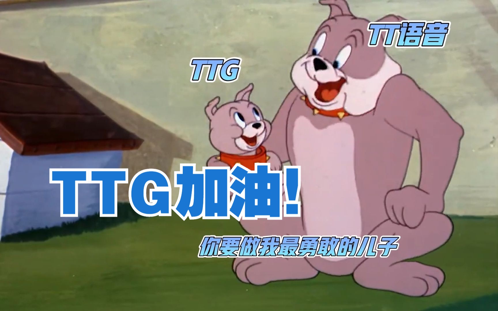 【TT语音】TTG冲刺！你们是最勇敢的崽崽！-TT语音-TT语音-哔哩哔哩视频