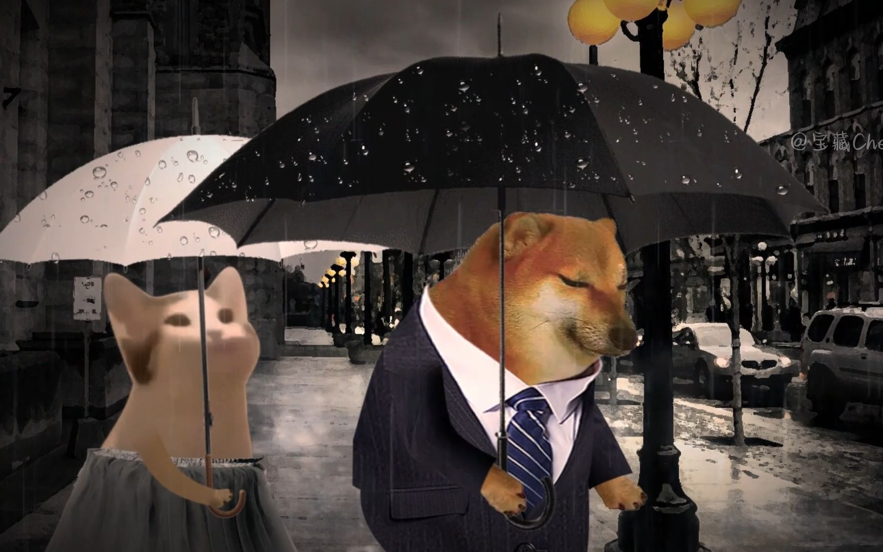 你怎么这么久了还是一个人-宝藏Cheems-宝藏Cheems-哔哩哔哩视频