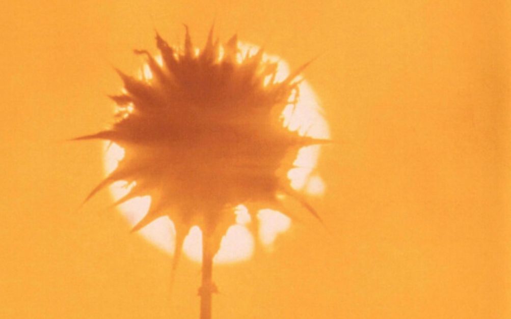 【Coldplay - Yellow】酷玩乐队【Yellow】原版MV_哔哩哔哩_bilibili