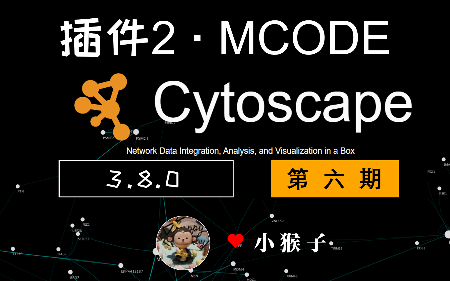 【生信分析-25】Cytoscape插件：MCODE使用 - 视频下载 Video Downloader