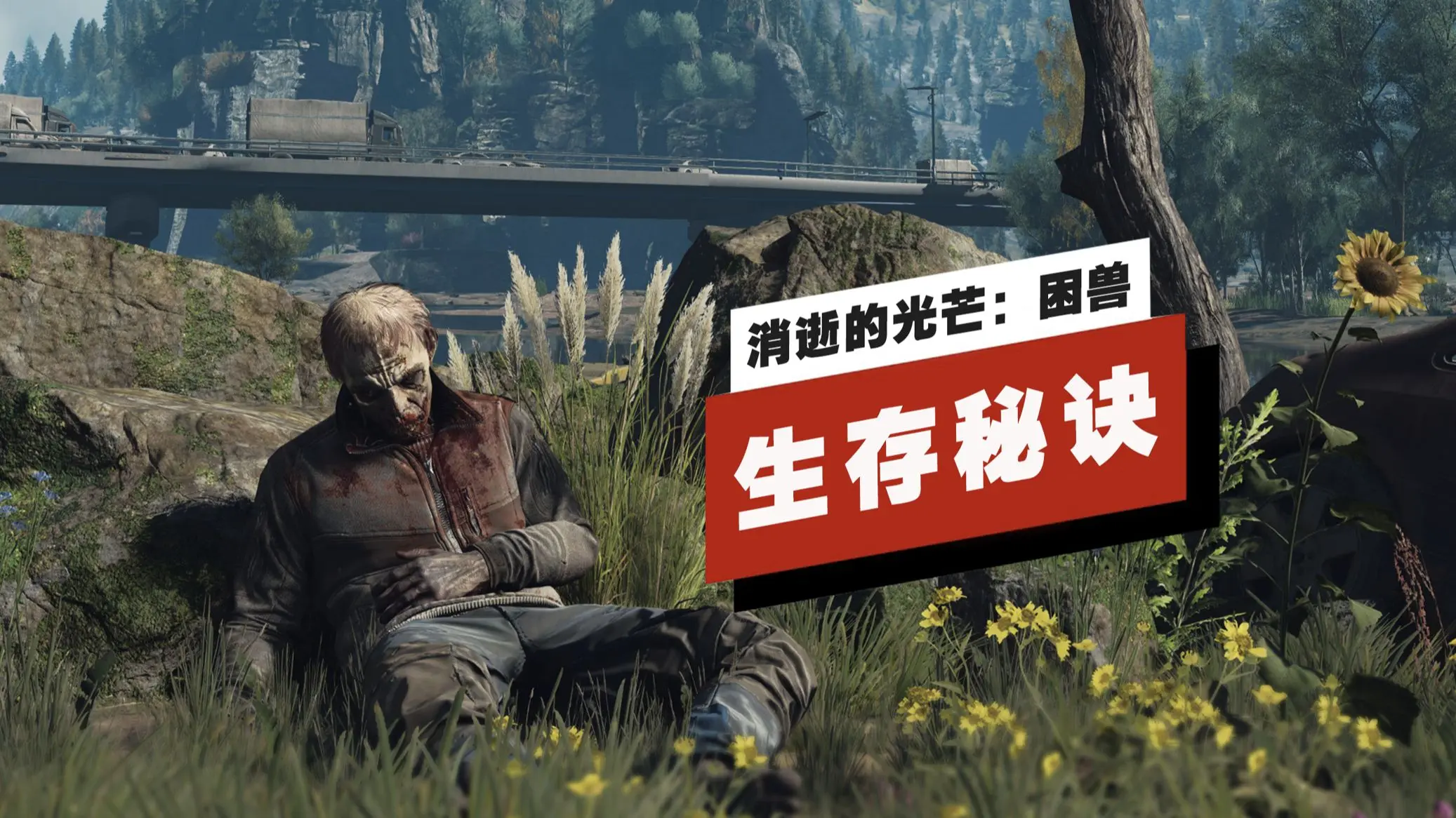 【IGN独家】《消逝的光芒：困兽》的5条生存秘诀_哔哩哔哩bilibili