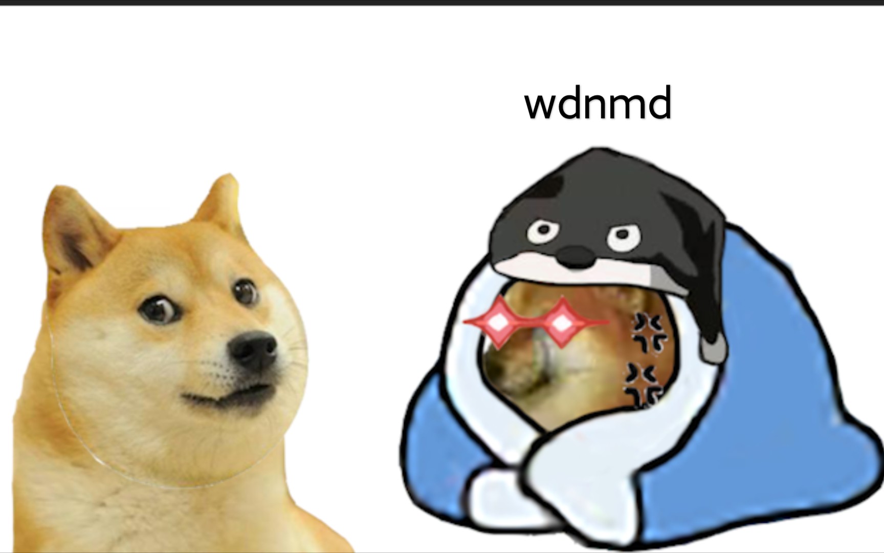 doge:谢谢你，chmees（大学生宿舍现状）_哔哩哔哩_bilibili