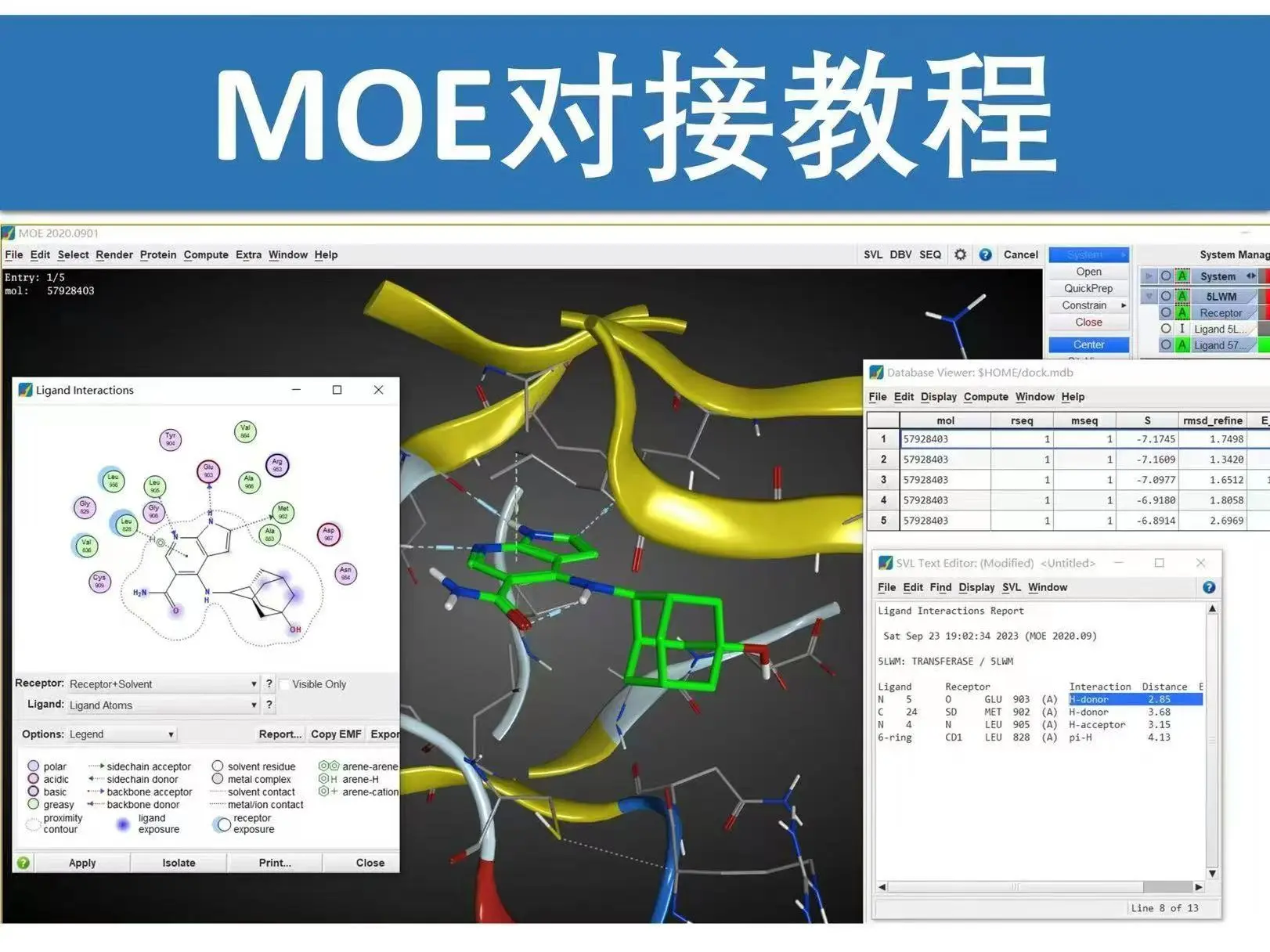 3分钟学会MOE对接教程(纯干货篇)_哔哩哔哩_bilibili