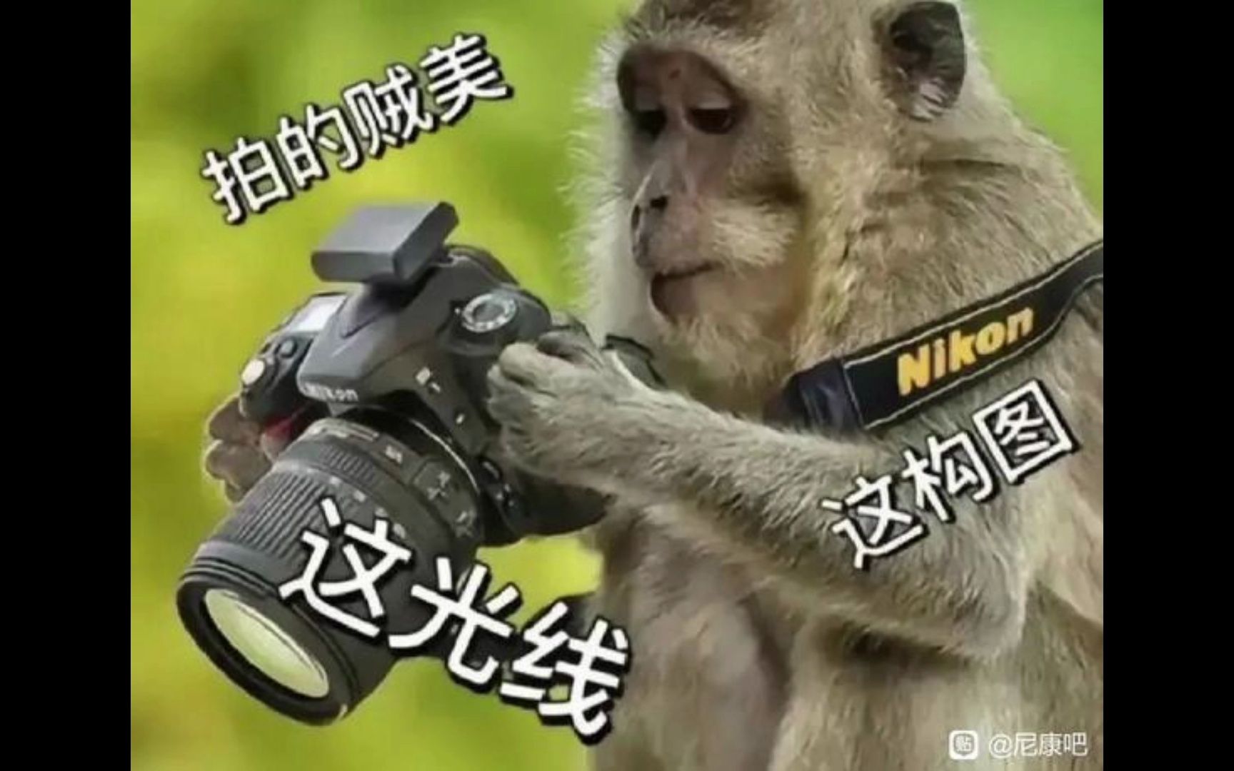 尼康战歌，I AM Nikon