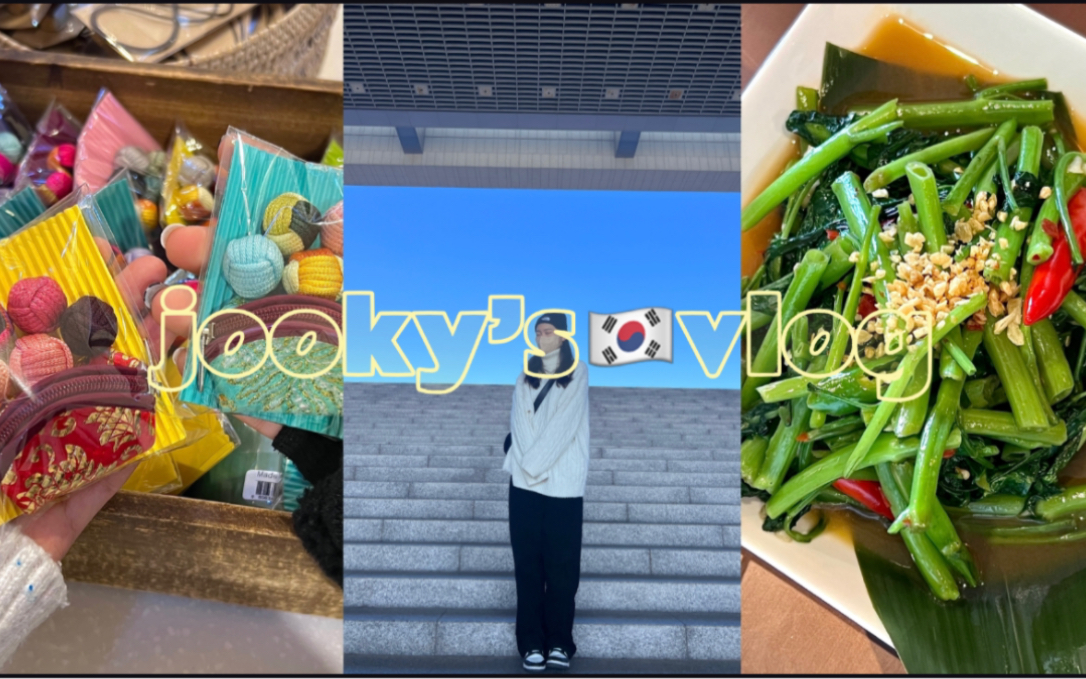 韩国留学gapyear｜语学院组织去参观博物馆啦｜和泰国同学吃泰料｜明洞取新眼镜-爱吃泡菜炒饭的jooky-爱吃泡菜炒饭的jooky-哔哩哔哩视频