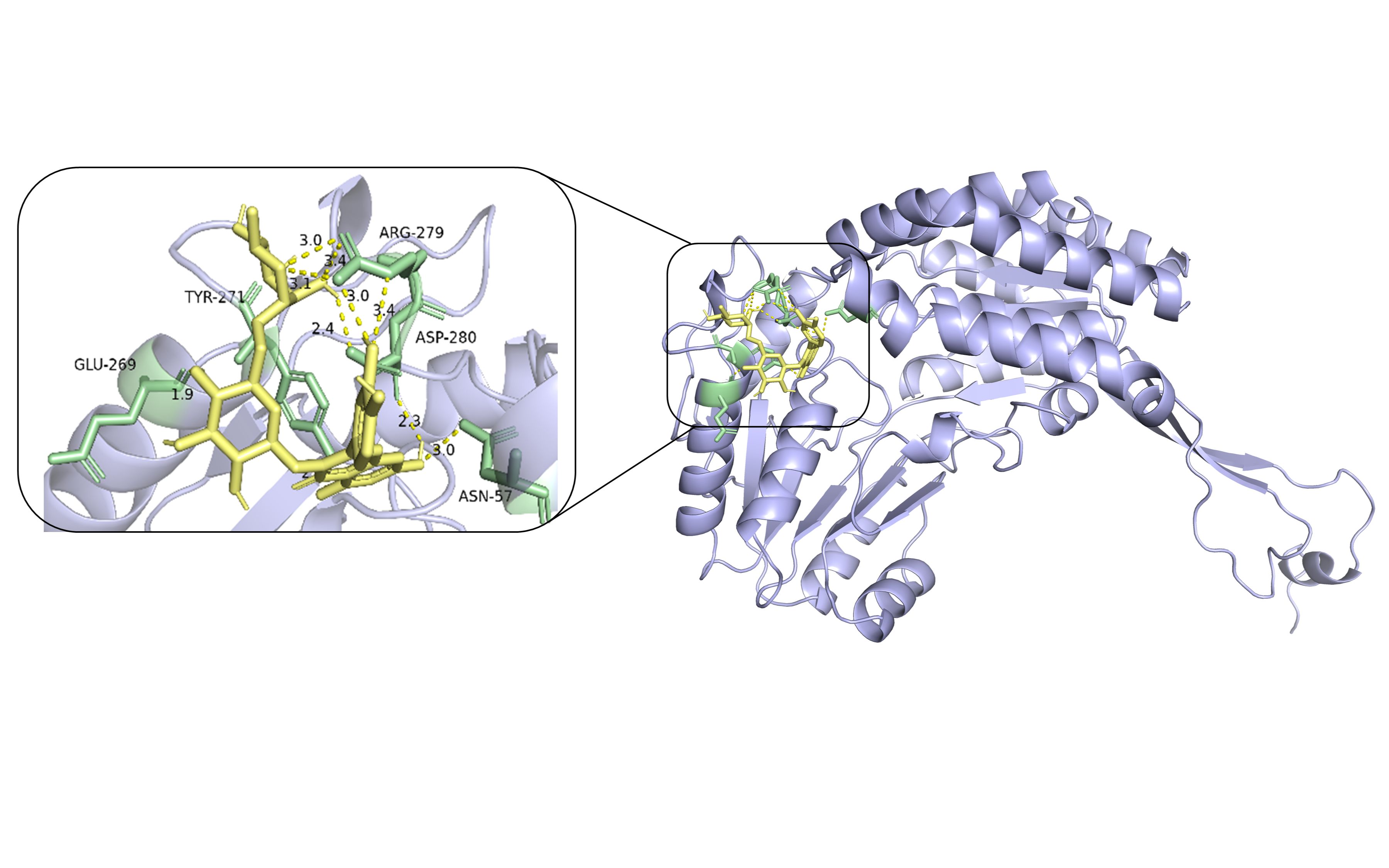 分子对接pymol可视化教程-bili_43142655790-网络药理学-哔哩哔哩视频