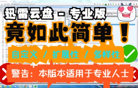 【Alist】Alist v3 迅雷云盘 - 专业版/高级版 食用教程 ~ 自定义程度更高 专业人士食用喔~ - 视频下载 Video ...