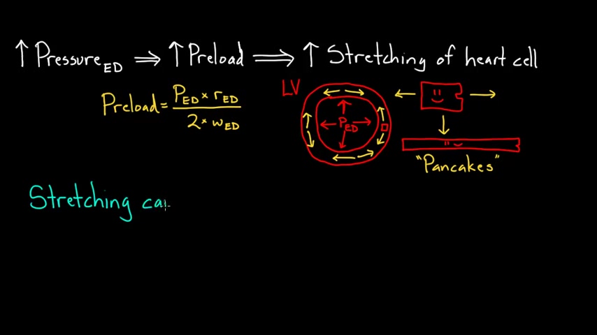 Preload stretches out the heart cells | Circulatory system physiology ...