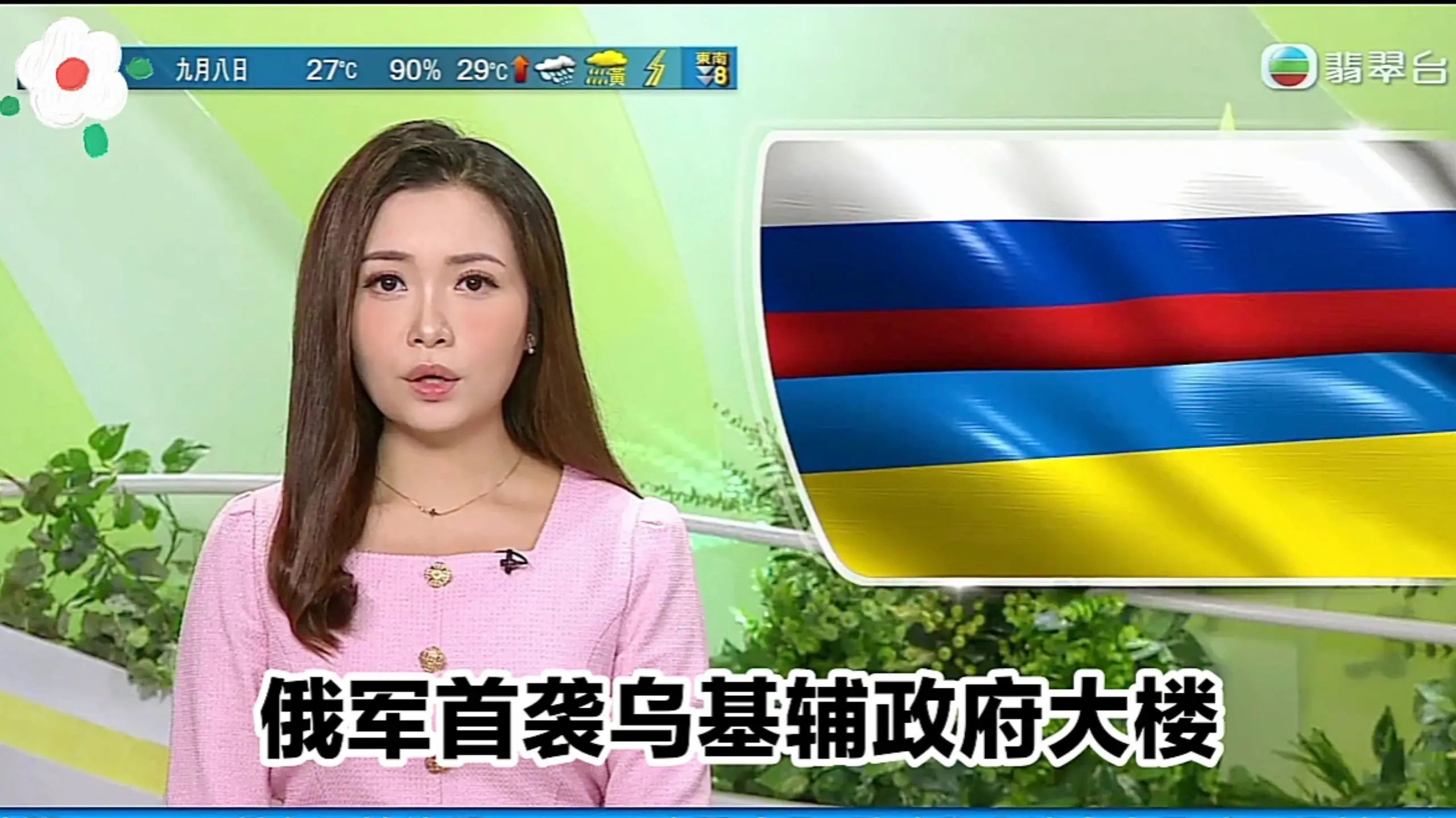 新植物：向日葵足球队！_植物大战僵尸